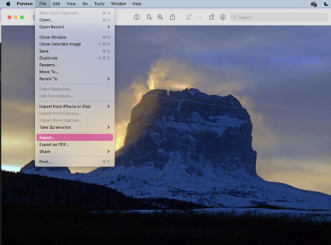 Everything You Need to Know About WebP Files | Hurrdat Marketing