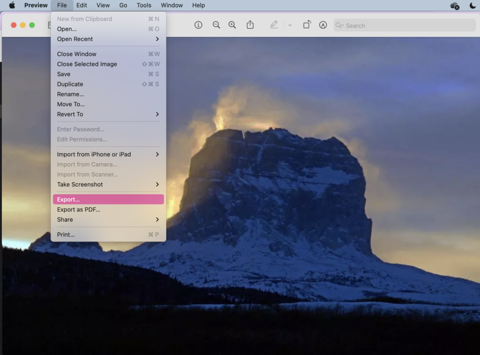 Everything You Need to Know About WebP Files | Hurrdat Marketing