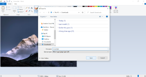 Everything You Need to Know About WebP Files | Hurrdat Marketing
